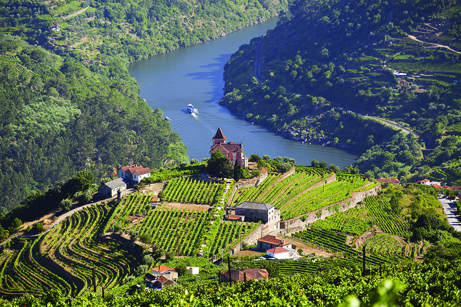 Douro River Voyage: Culture, Cuisine & Wine
